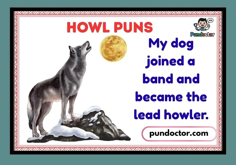 366+ Howl Puns That Are Fur-iously Funny 🐺😂 2026